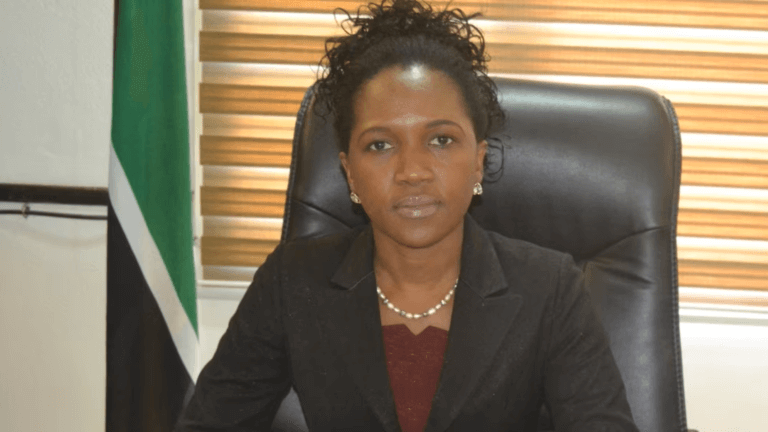 Stella Pinto Novo Zeca nomeada nova embaixadora de Moçambique em ...