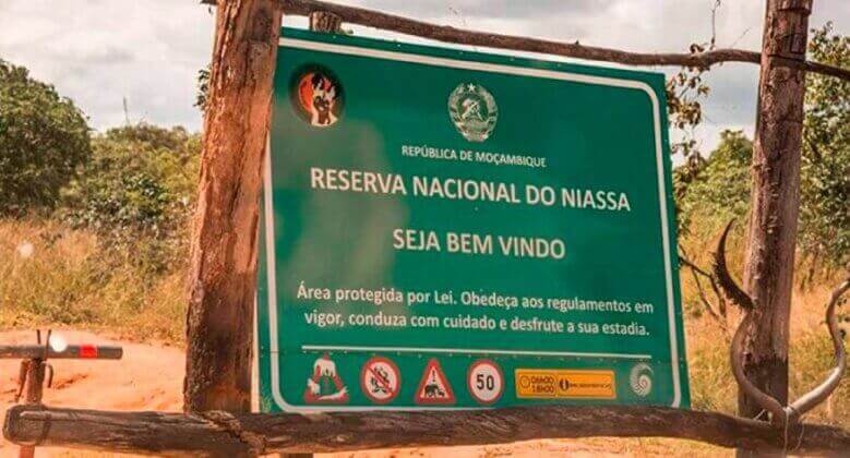 Governo confirma invasão de terroristas na Reserva Especial do Niassa - MMO