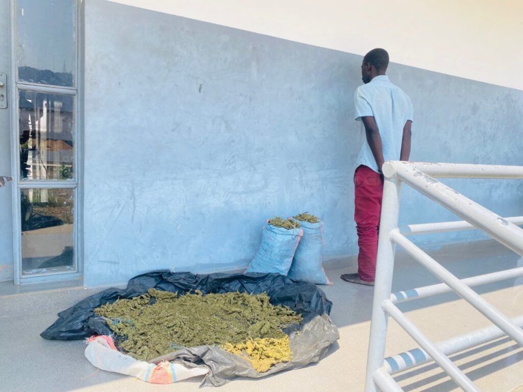 Homem detido em Tete com oito quilos de cannabis sativa - MMO